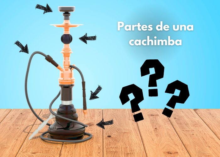 Que es una cachimba, como funciona y que significa ser cachimbero - TCI ...